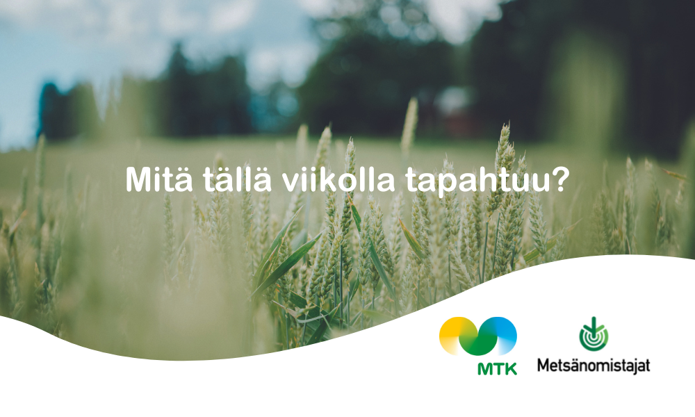 Mitä tällä viikolla tapahtuu? - MTK