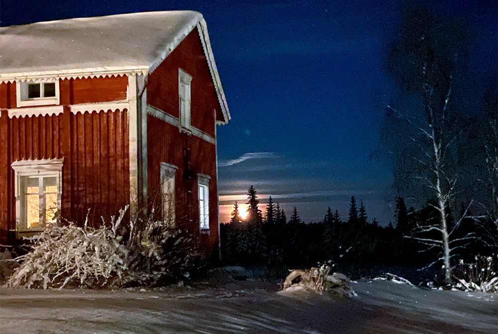 Talo maalta -palvelu - kahdeksan kuukautta menestystä ja kasvua - MTK