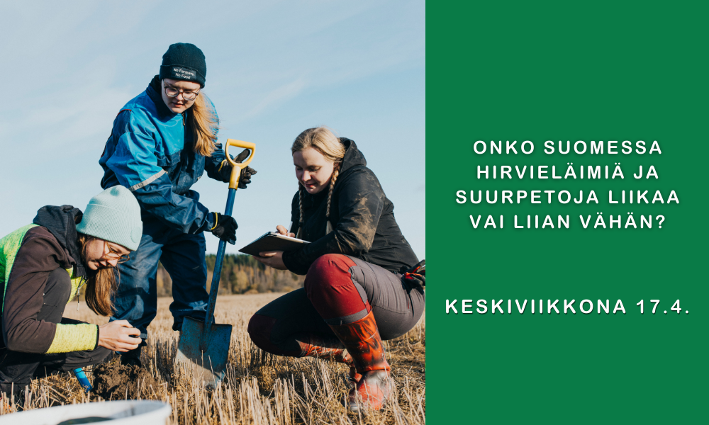 Onko Suomessa hirvieläimiä ja suurpetoja liikaa vai liian vähän? - MTK