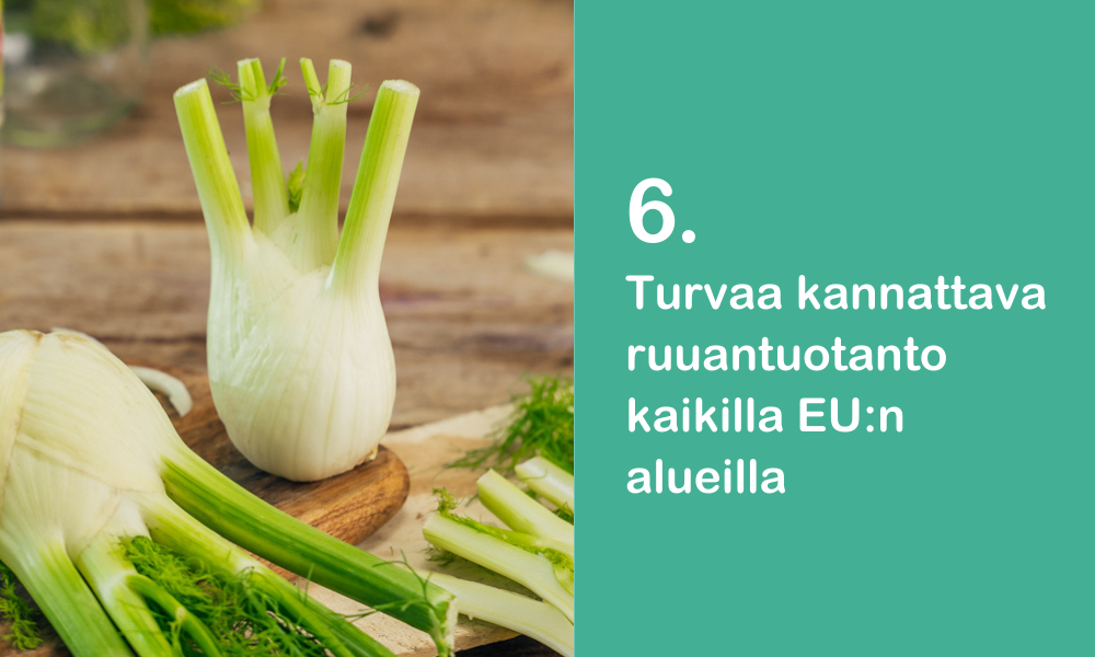 Teesi 6. Turvaa kannattava ruuantuotanto kaikilla EU:n alueilla - MTK