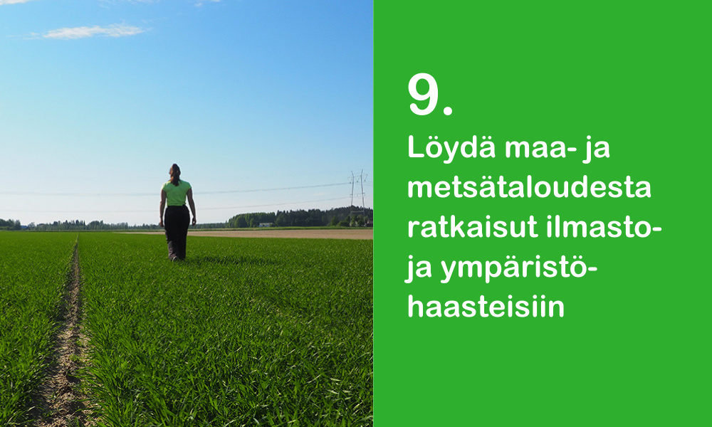 Teesi 9. Löydä maa- ja metsätaloudesta ratkaisut ilmasto- ja ...