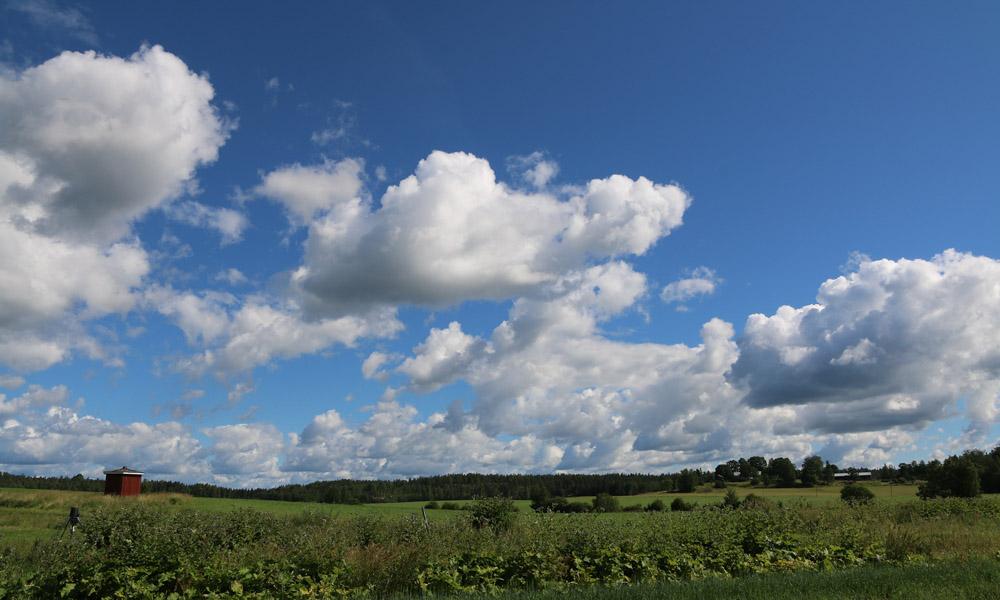 Ilmasto ja energia - MTK