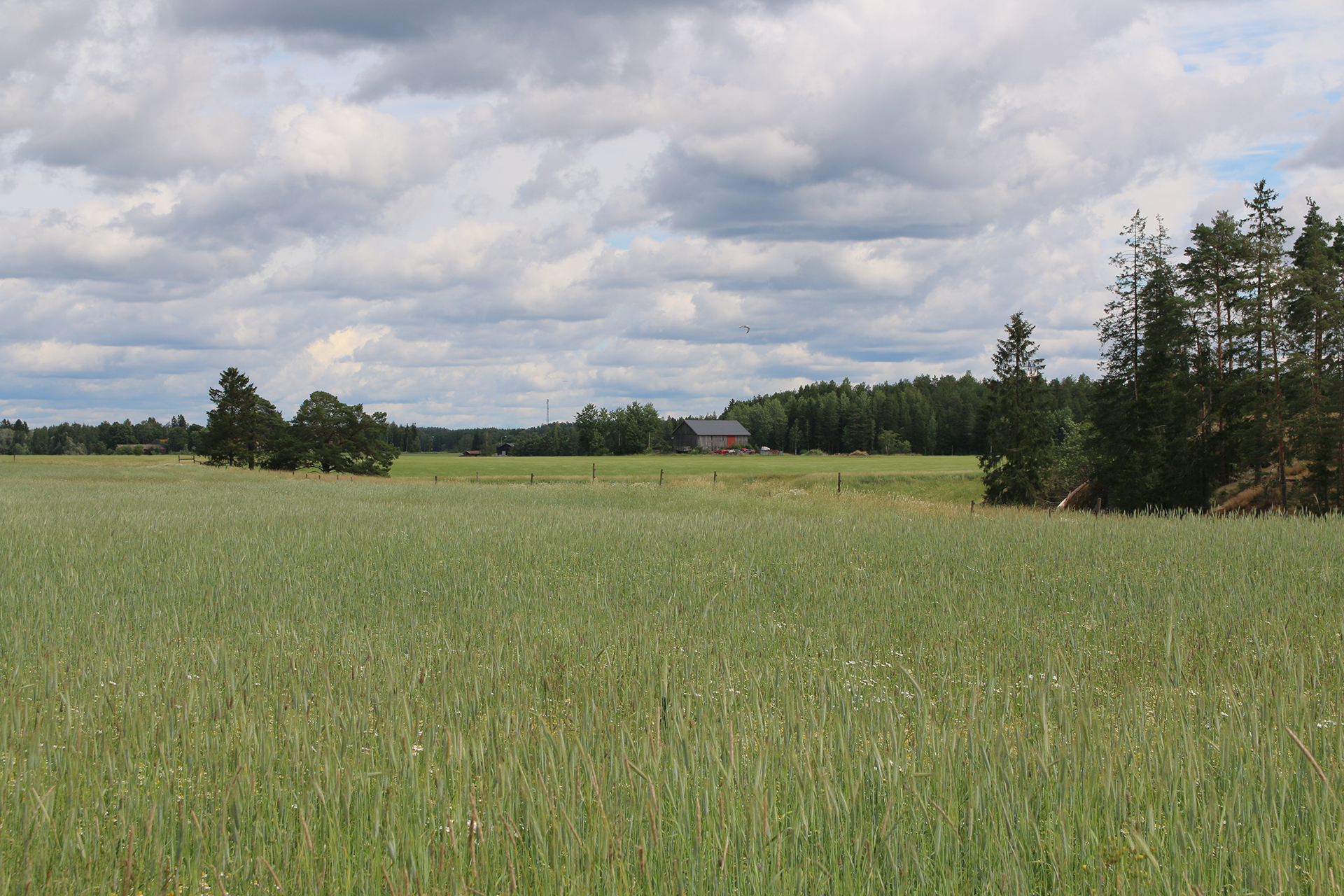 Webinar: 'How to achieve carbon neutrality in agriculture and forestry ...
