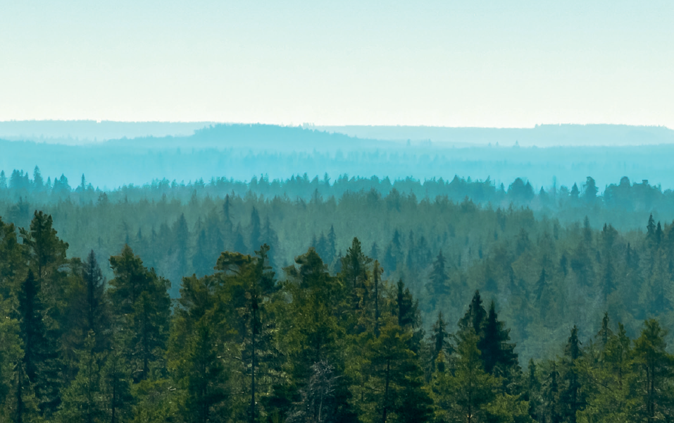 Science-based information package 'Sustainability of Finland’s forests ...