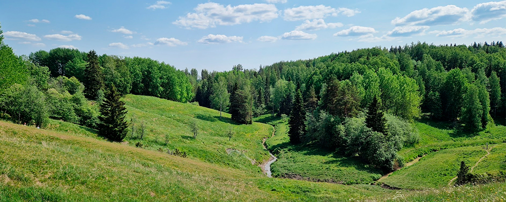 MTK's and SLC's Biodiversity Road Map - MTK en - MTK