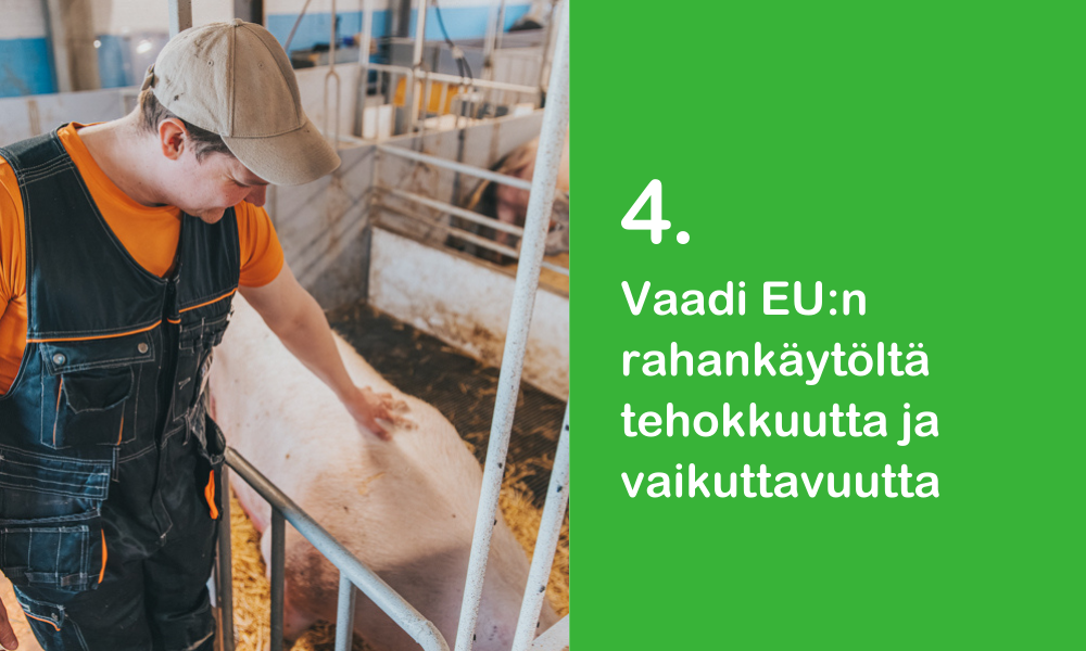Teesi 4. Vaadi EU:n rahankäytöltä tehokkuutta ja vaikuttavuutta - MTK