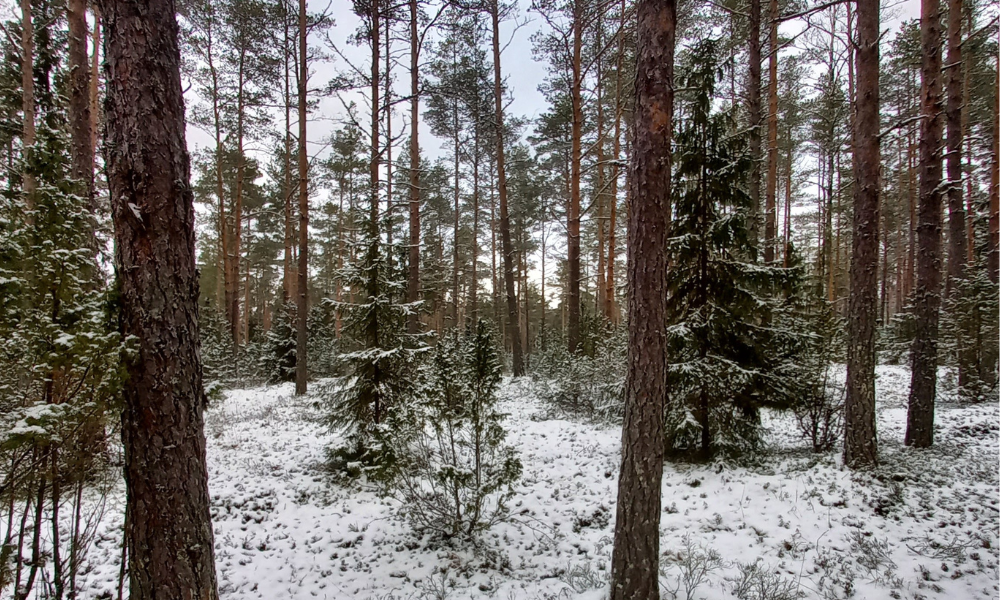 Varsinais-Suomen maakuntavaliokunta kokoontui Liedossa - MTK-Varsinais ...
