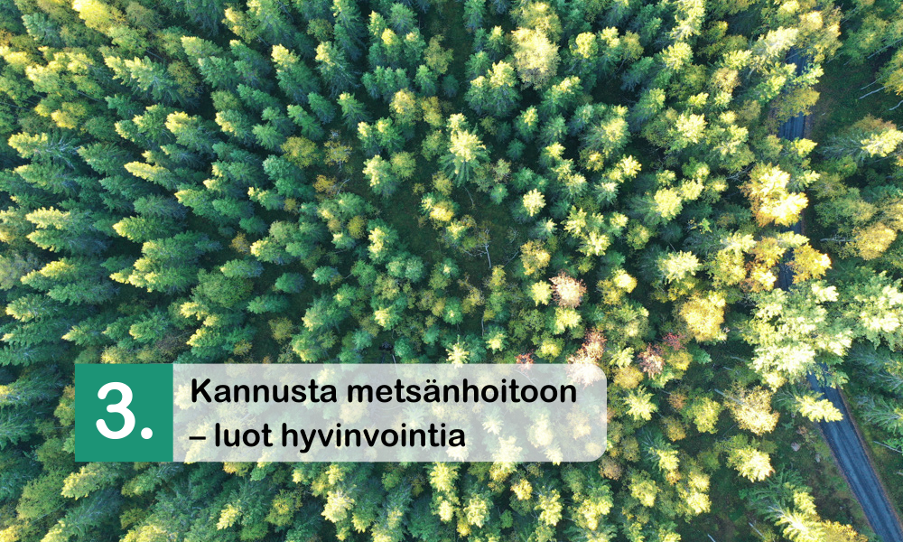 Teesi 3. Kannusta metsänhoitoon – luot hyvinvointia - MTK