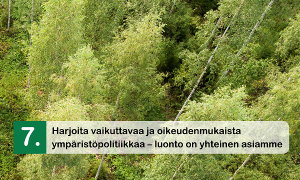 Teesi 7. Harjoita vaikuttavaa ja oikeudenmukaista ympäristöpolitiikkaa ...